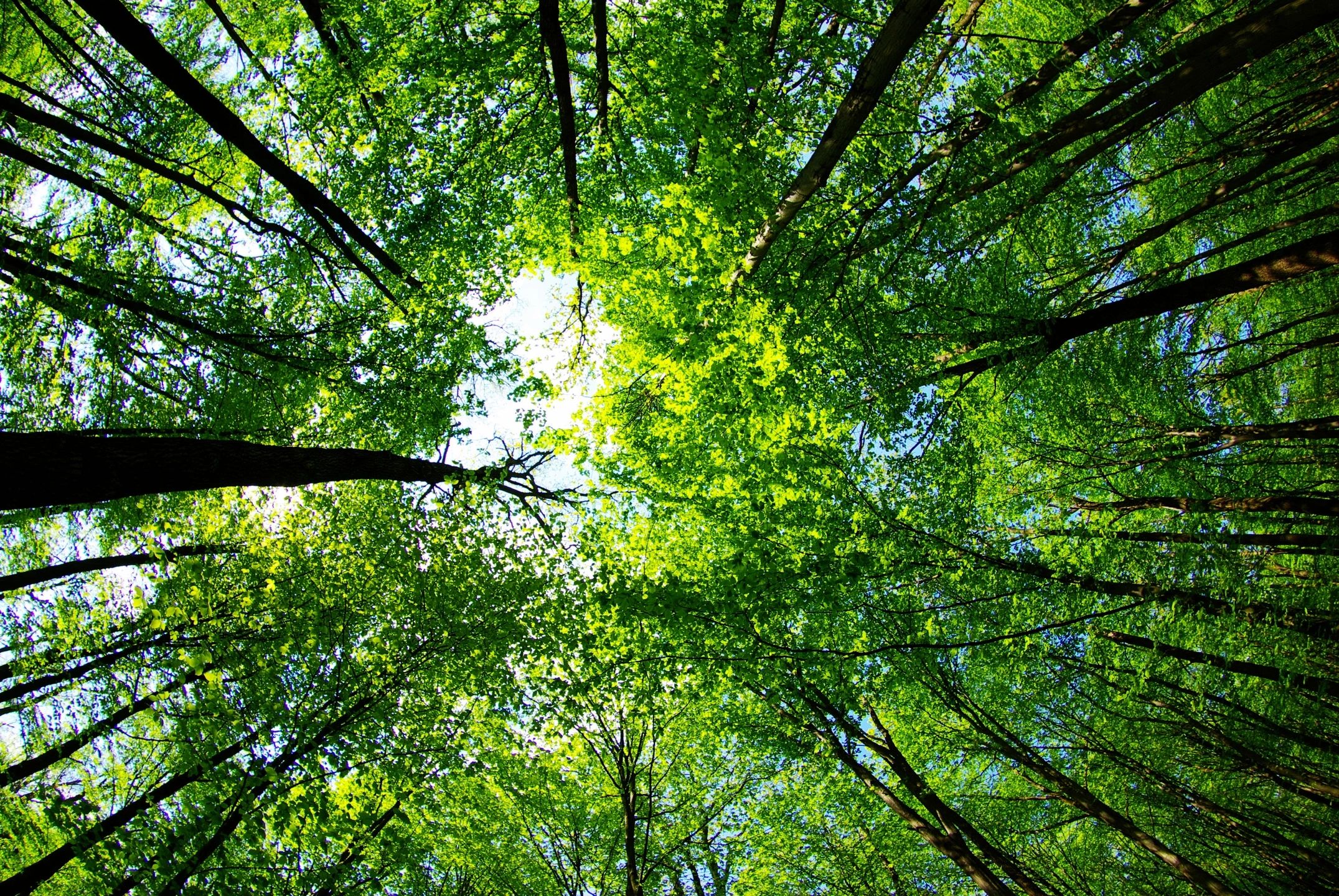 Angie Strader – Inspiration and Lifestyle